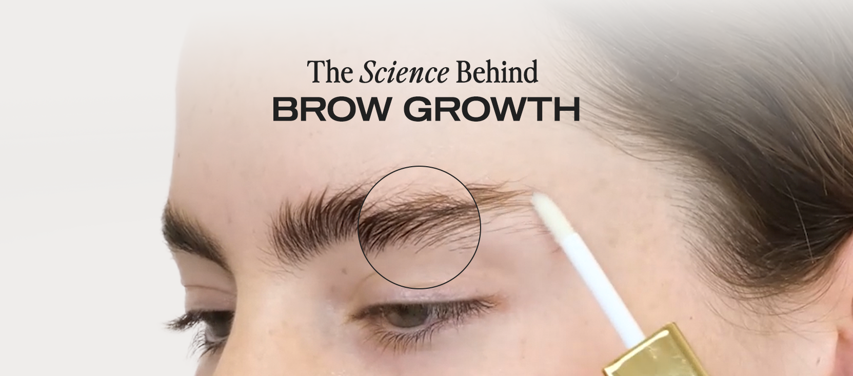The Science Behind Brow Growth | Brow Code Retail